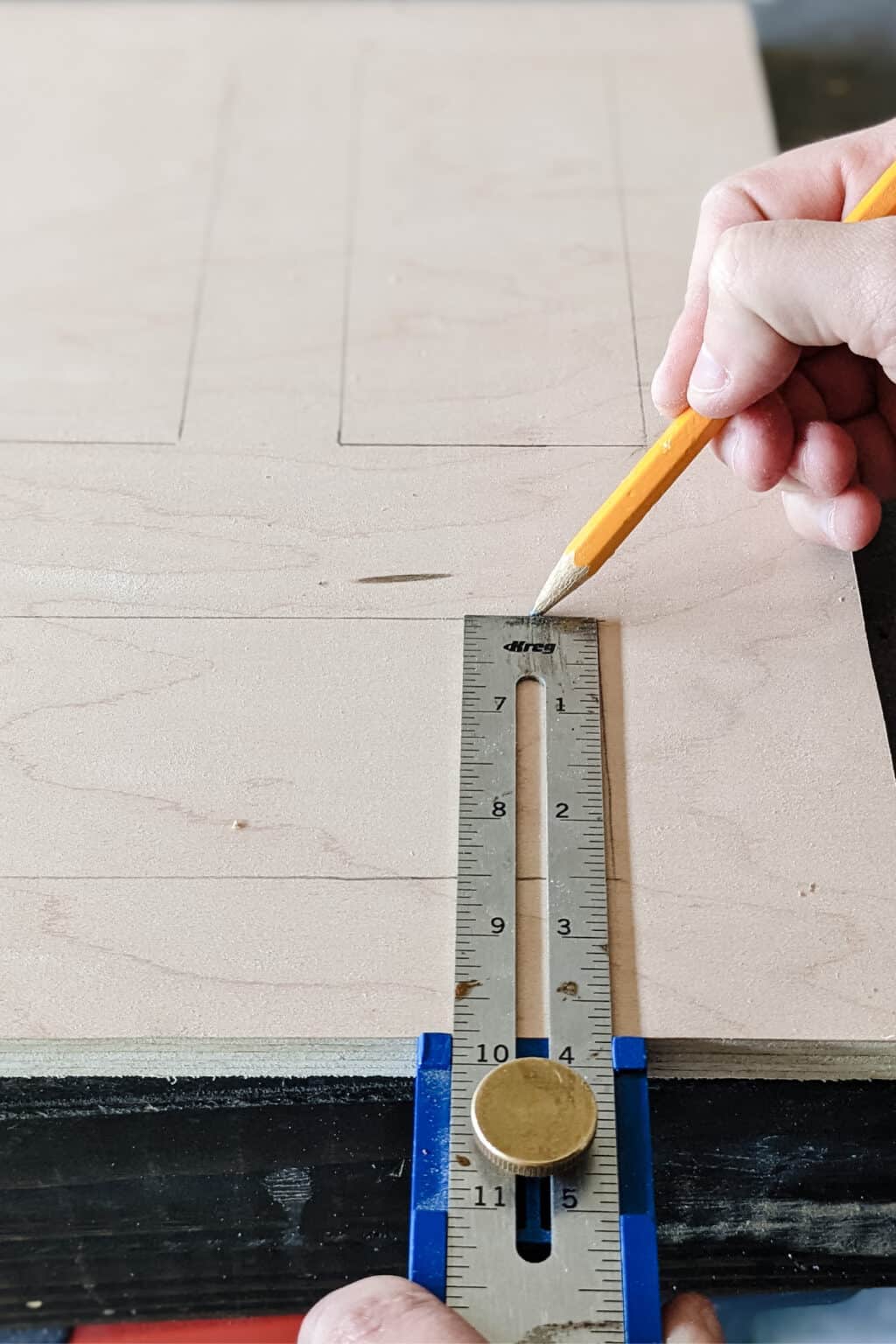 DIY Ziploc Bag Organizer - Pine and Poplar