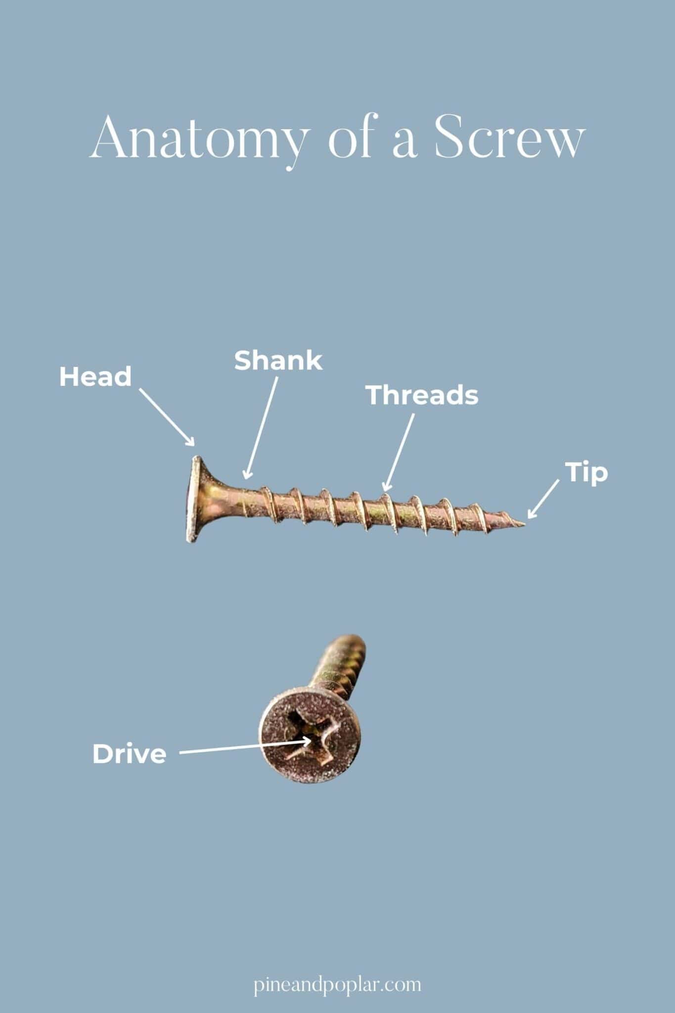 Choose the Right Wood Screw for Your Project